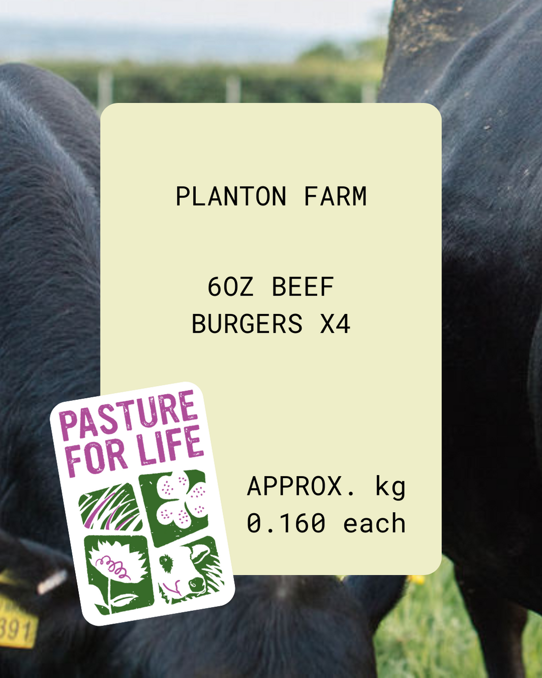 Planton Farm - Regenerative farming – Planton farm
