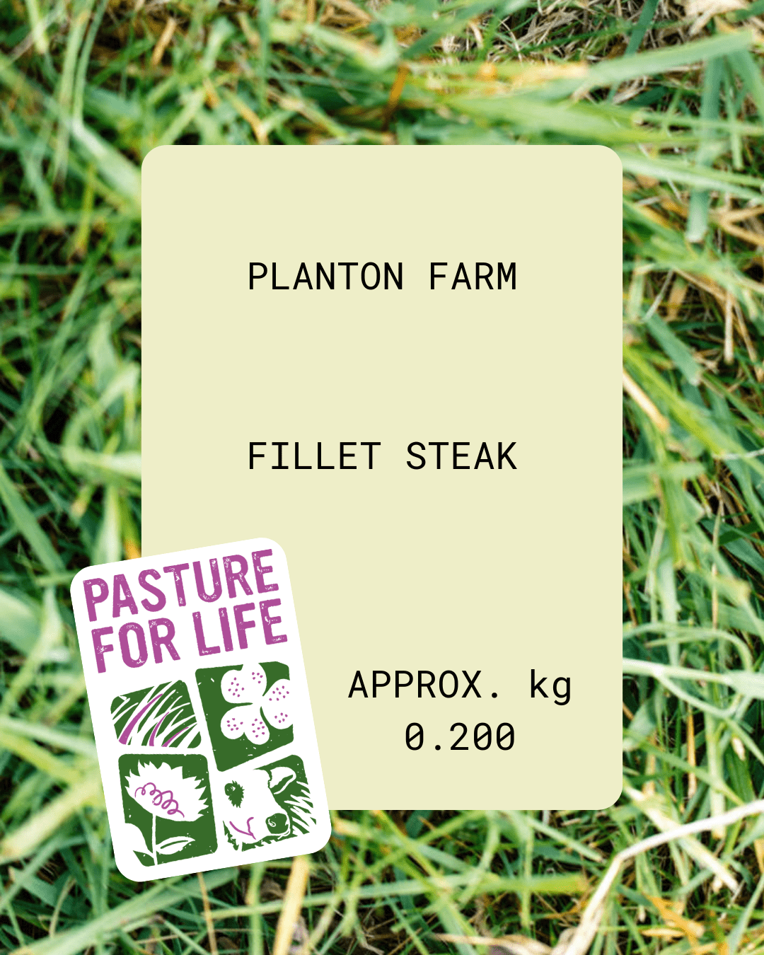 Fillet Steak from Regenerative Beef – Planton farm